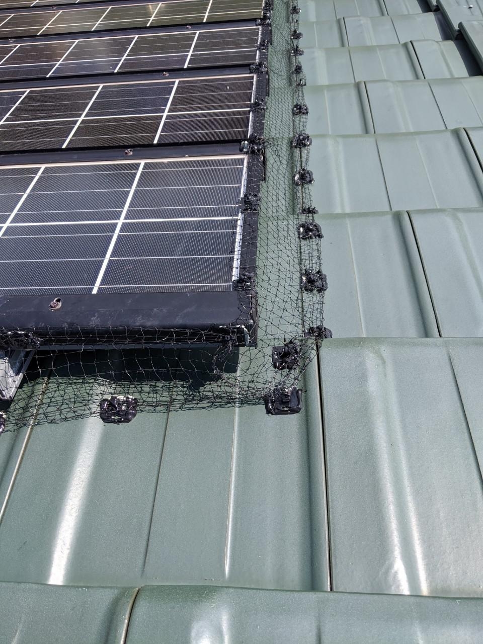 Https Www Hatoyoke Jp Column E6 9d B1 E5 8c Bak E6 A7 98 E3 80 80 E9